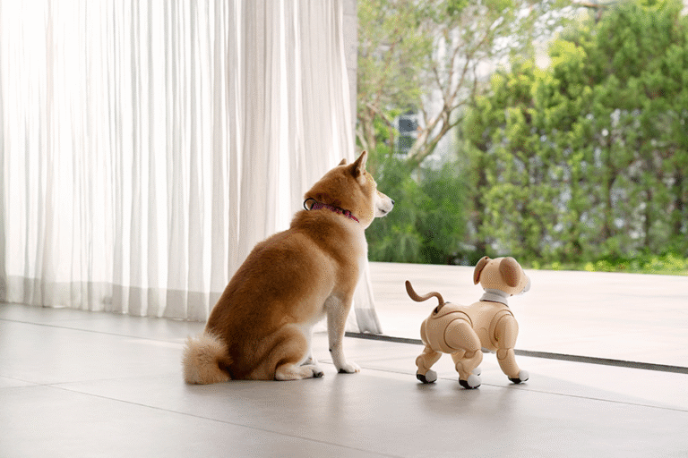 aibo（アイボ）レビュー｜ソニー犬型ペットロボットの特徴・価格・口コミ・評判まとめ【2025年最新】 | ミーア / Mia