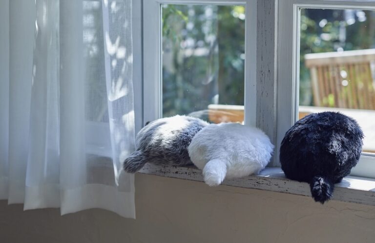 Qoobo / Petit Qoobo In-Depth Review｜Specifications, Attractiveness, and ...